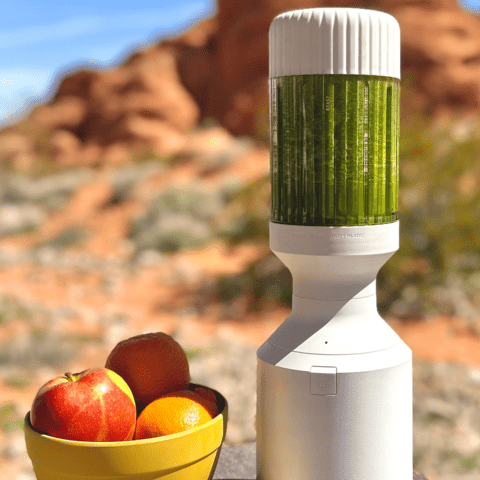 Green Machine Smoothie – Beast Health