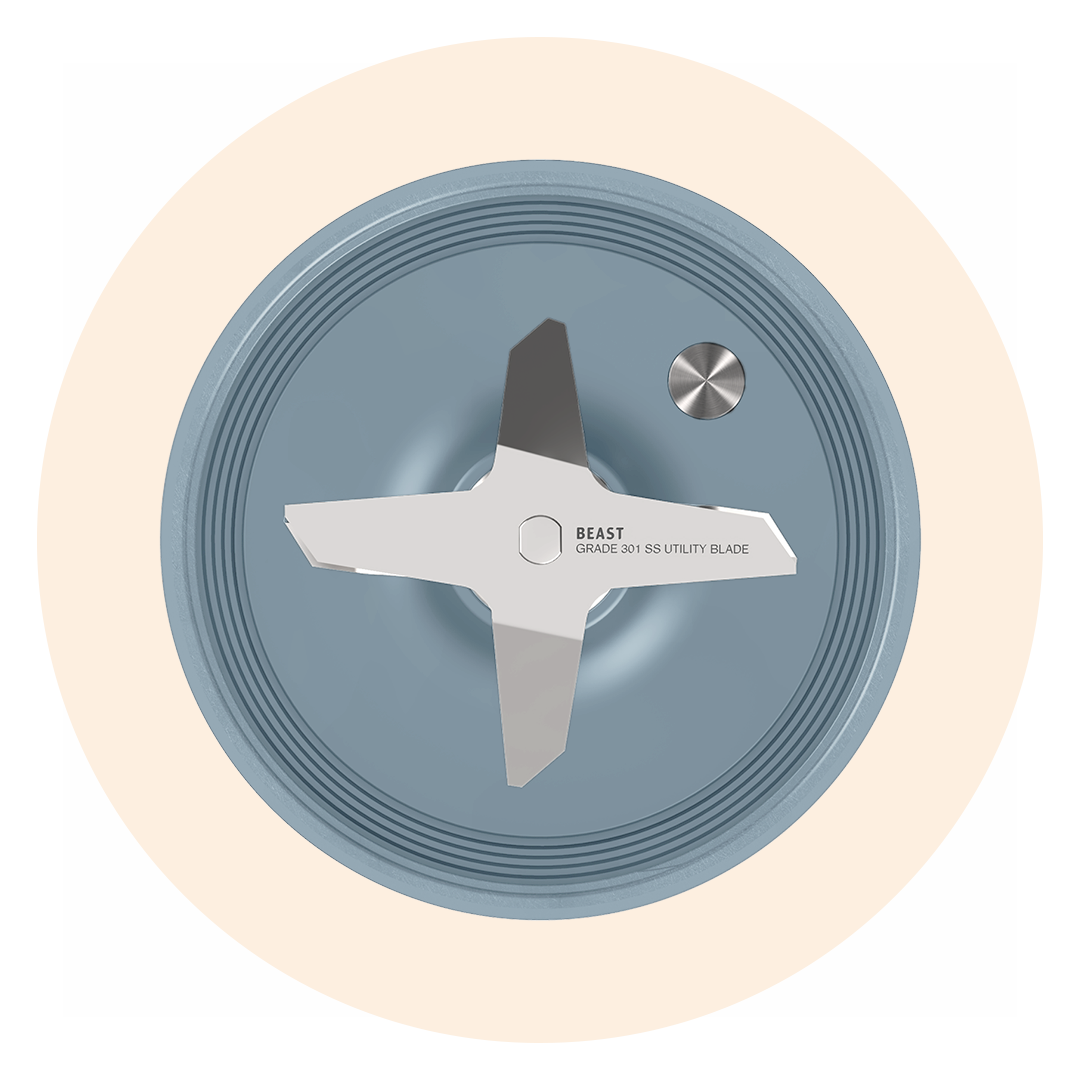 Meet The Beast Mini | Mini Blender | Beast Health